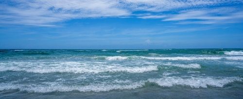 Florida's ocean temperature hits 100, causing coral bleaching; - USA ...